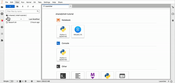 Git - Jupyter Lab – 2024 Quarto Workshop