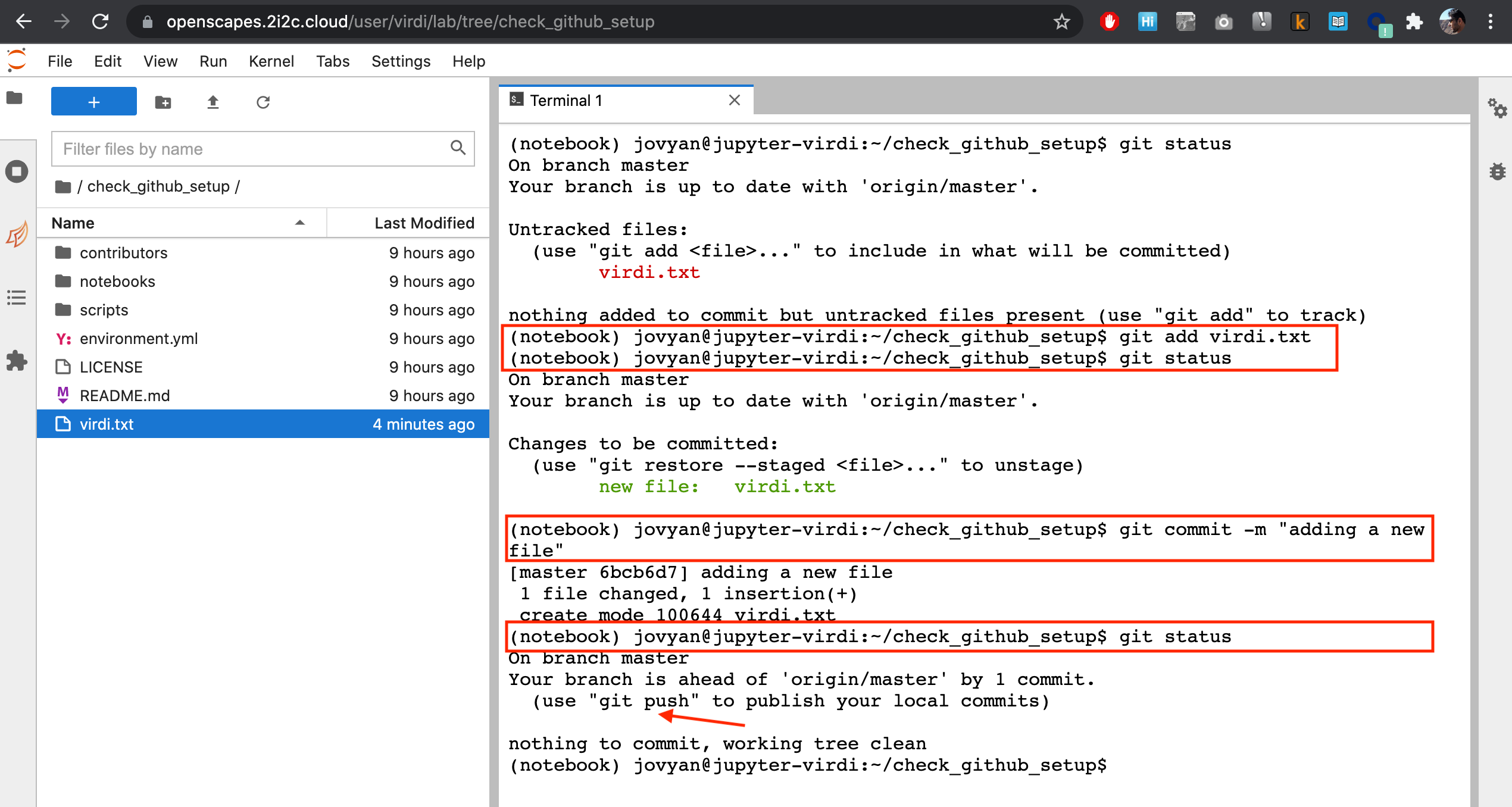 Git - Jupyter Lab – 2024 Quarto Workshop