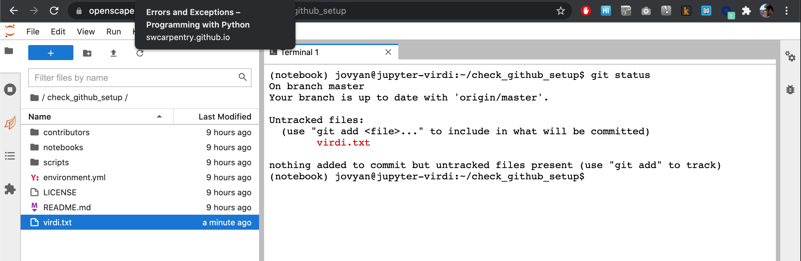 Git - Jupyter Lab – 2024 Quarto Workshop
