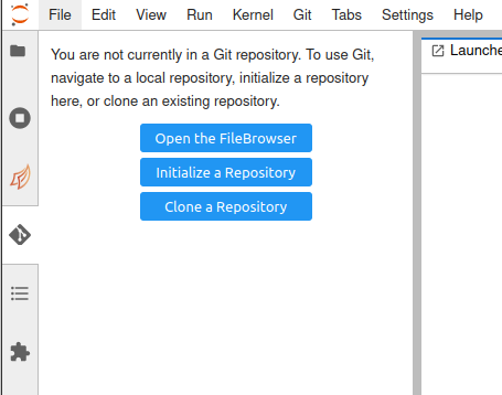 Git - Jupyter Lab – 2024 Quarto Workshop
