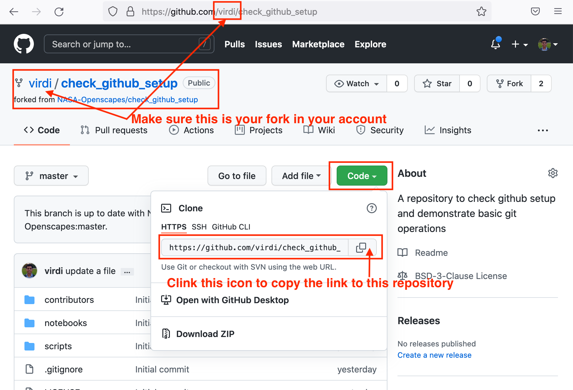 Git - Jupyter Lab – 2024 Quarto Workshop
