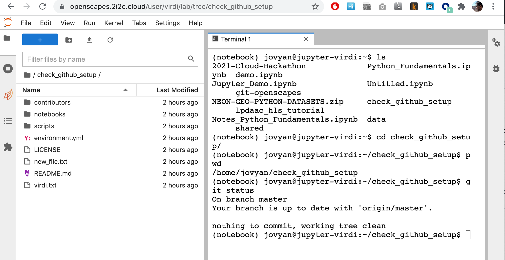 Git - Jupyter Lab – 2024 Quarto Workshop