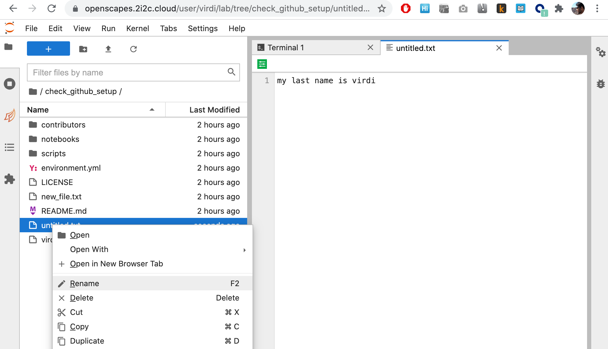 Git - Jupyter Lab – 2024 Quarto Workshop