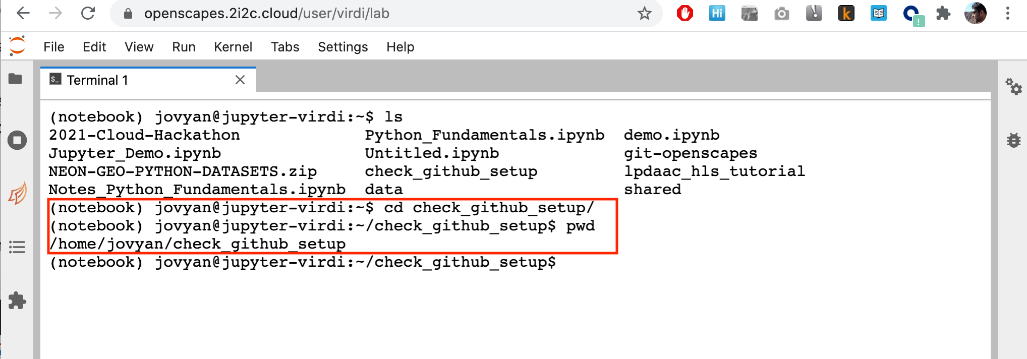 Git - Jupyter Lab – 2024 Quarto Workshop