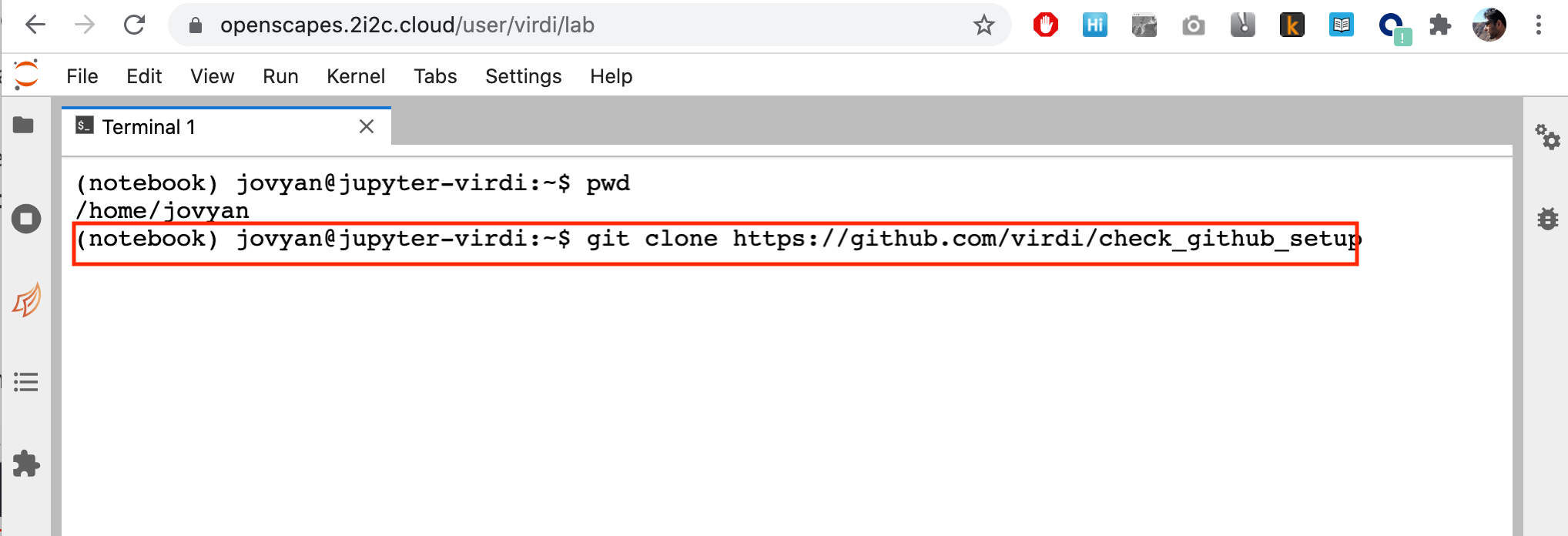 Git - Jupyter Lab – 2024 Quarto Workshop