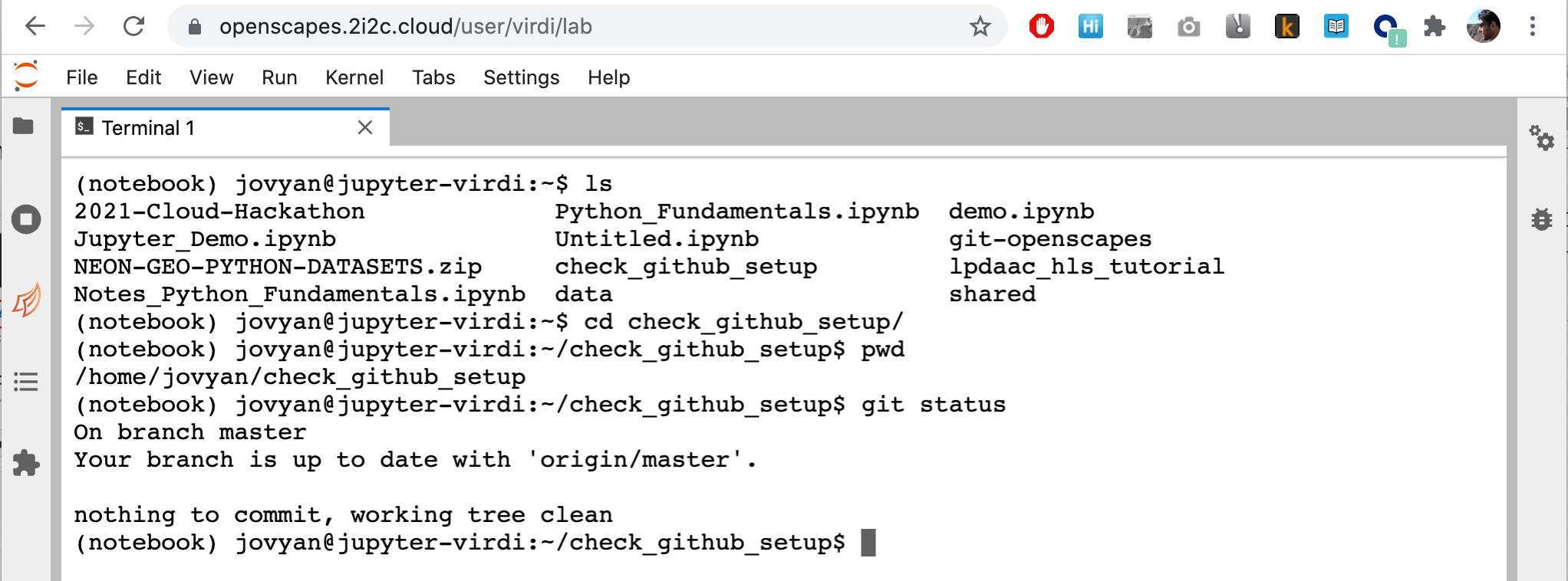 Git - Jupyter Lab – 2024 Quarto Workshop