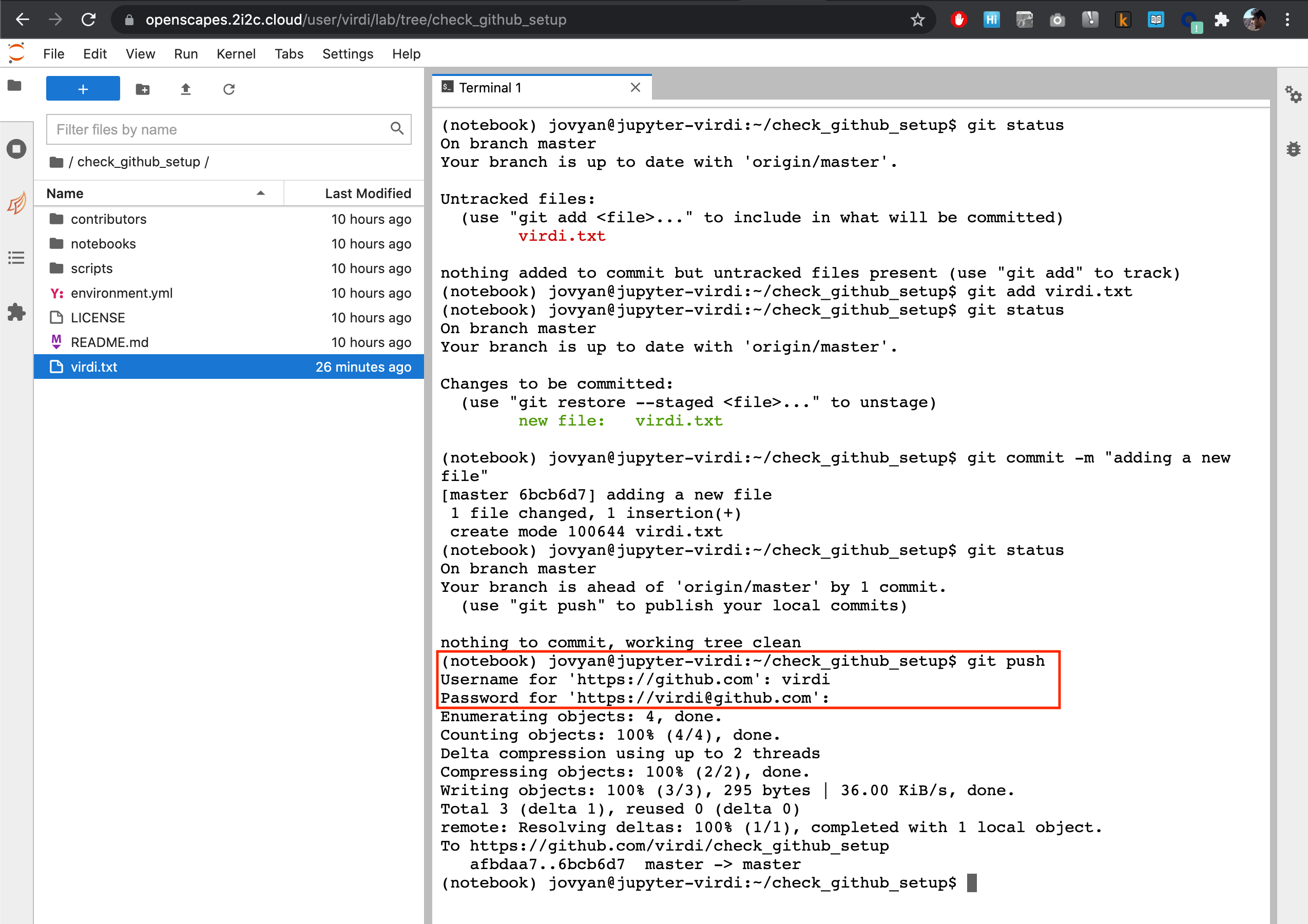 Git - Jupyter Lab – 2024 Quarto Workshop